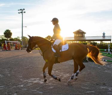 Saddle Up in Sarasota for Horseback Riding | Visit Sarasota County
