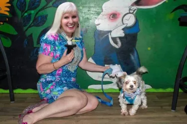 Nightlife, Live Music & Entertainment | Visit Sarasota County